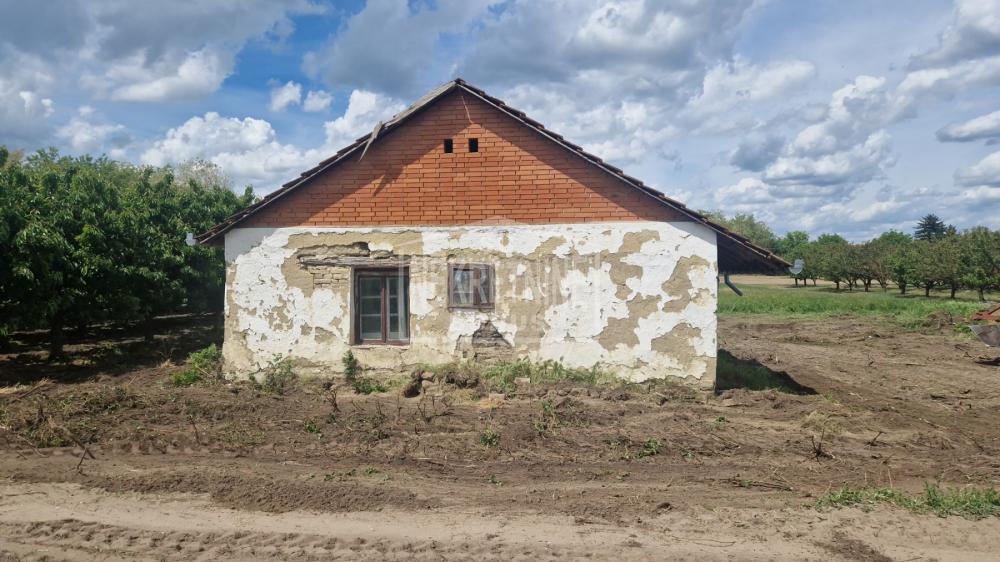 Subotica-Donji Tavankut-stara kuća za adaptaciju na velikom placu ID#2175
16.000 €