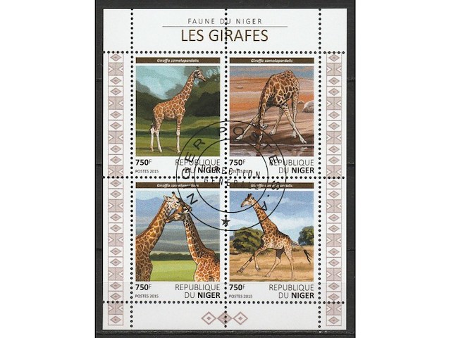 Niger - 2015 - Žirafe