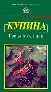 Kupina