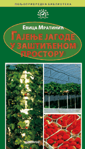 Intenzivno gajenje jagode u zaštićenom prostoru