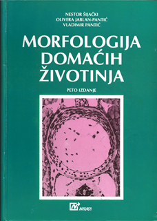 Morfologija domaćih životinja