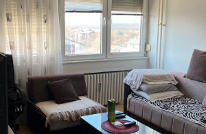Prodajem Stan-Apartman, Bagljaš