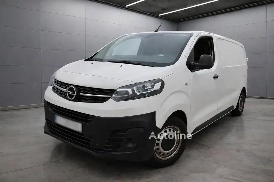 Minibus furgon