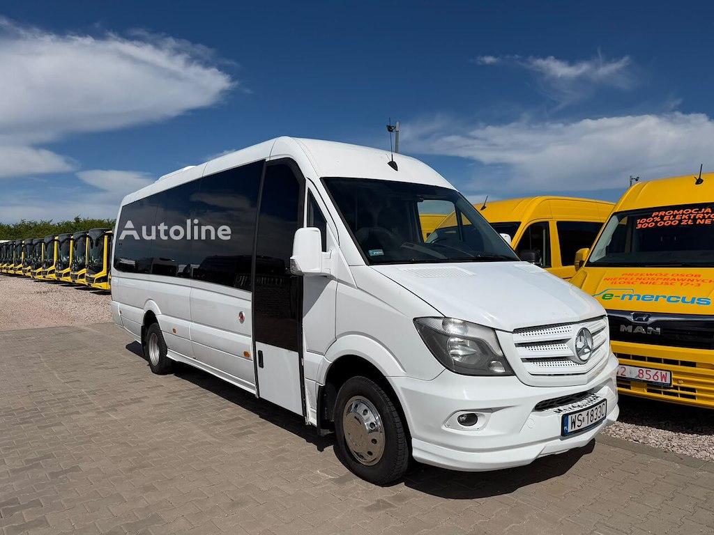 Mercedes-Benz Sprinter 519 putnički minibus