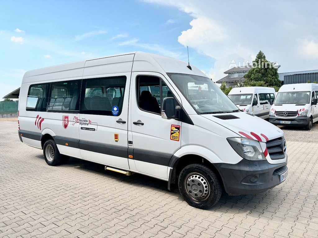 Mercedes-Benz Sprinter 516 CDI, Euro6,(513,519) 2 Stück putnički minibus