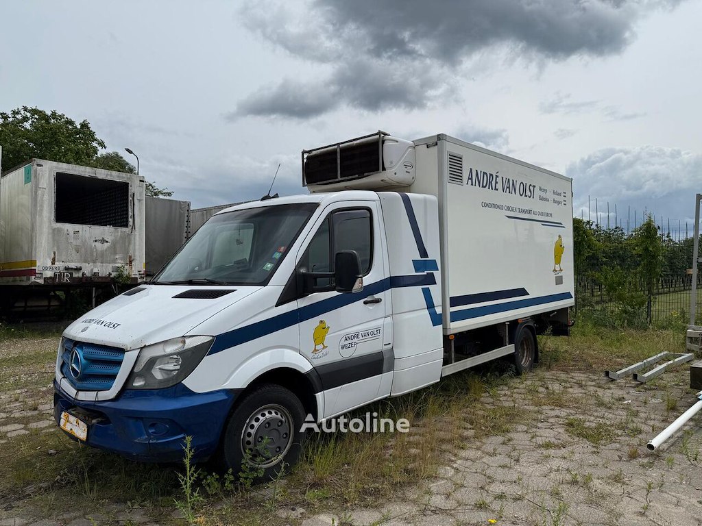 Mercedes-Benz Sprinter vozilo za prevoz ptica