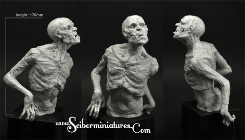 NEW! Scibor Monstrous Miniatures BUST0022 Zombie Bust