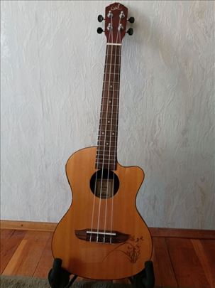 Ukulela - više modela