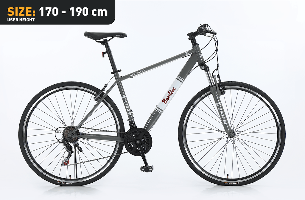 Xplorer gradski bicikl BERLIN Gray 28"ID: EK000867890