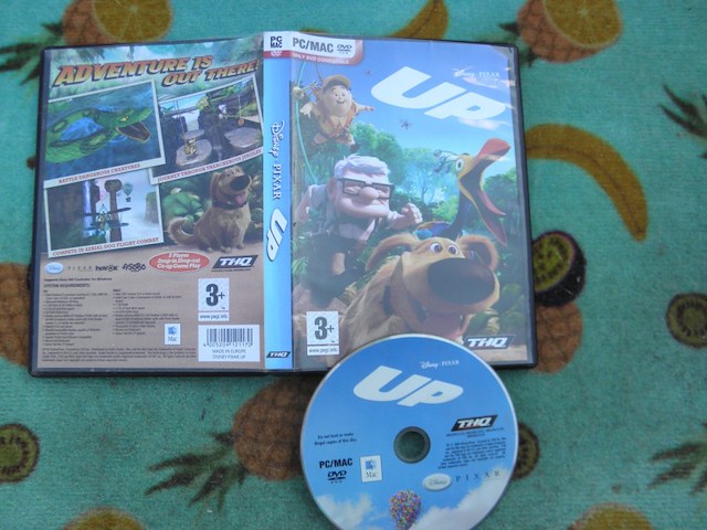 Up  PC game