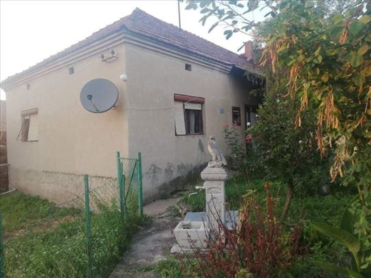 selo Čitluk,Sokobanja, kuća na 30 ari+4 ha zemlje