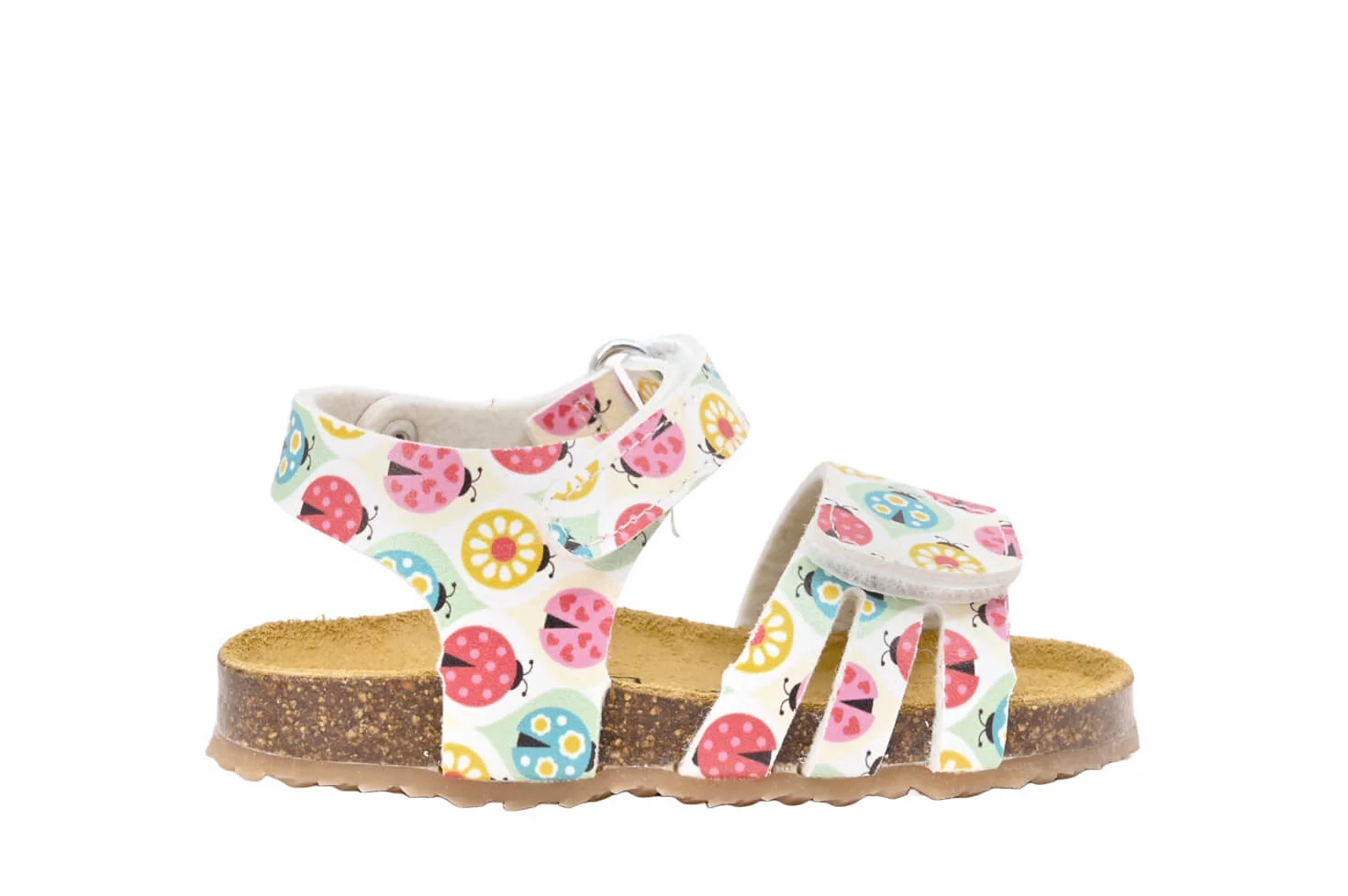 CICIBAN Bio 355222 Primavera 21-24