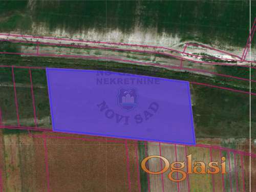 Odličan plac 48700m2, Djurdjevo!
