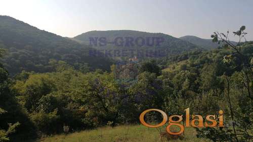 Građevinski plac 5596m2
