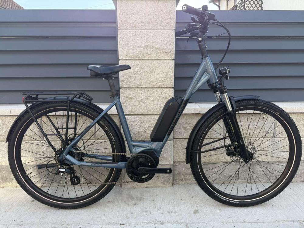 Pegasus Bosch Smart 545Wh size-M