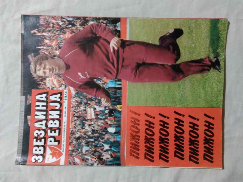Zvezdina revija broj 313