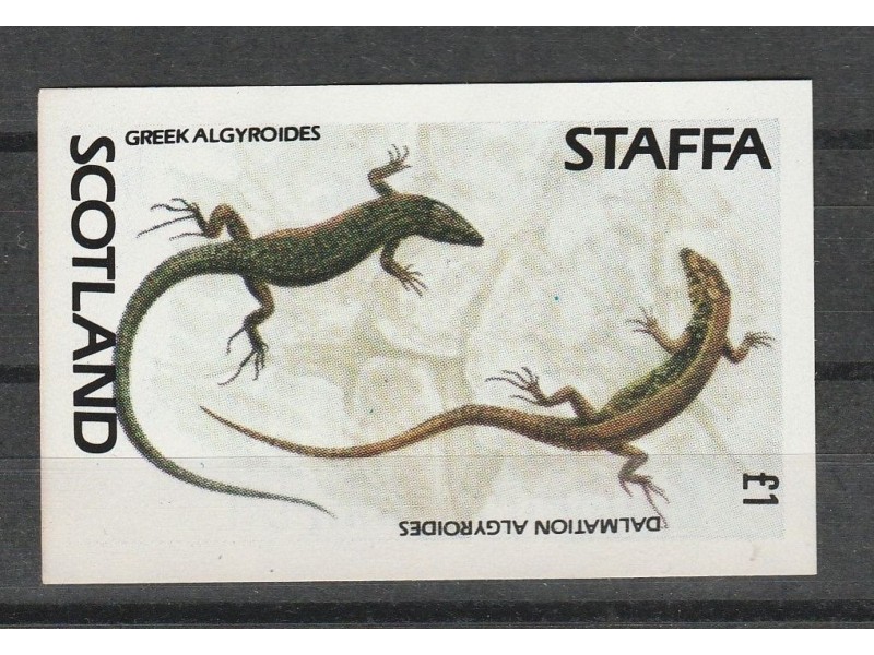 Staffa - Greek algyroides, Dalmation algyroides