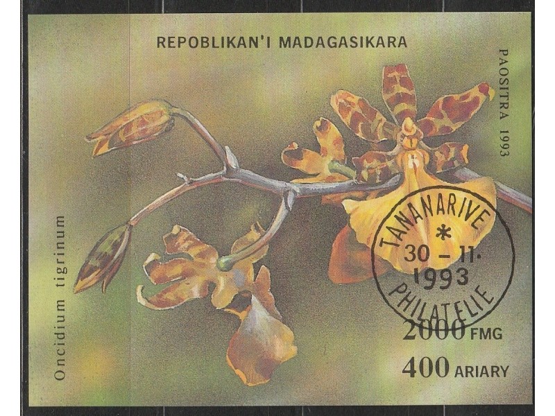 Madagascar - 1993 - Oncidium tigrinum - Orchids