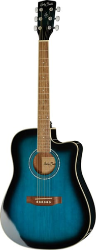 HARLEY BENTON D-120CE TB