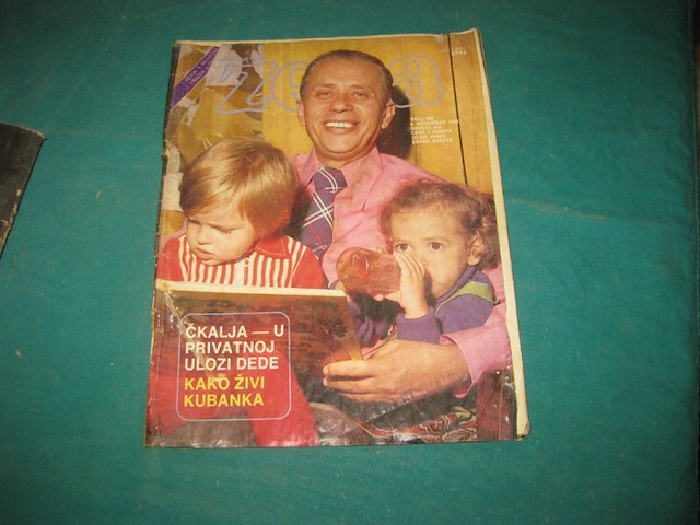 Praktična žena broj 506 (1975.) Miodrag Petrović Čkalja