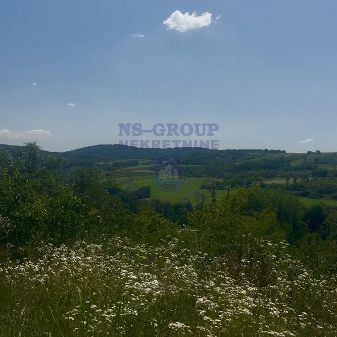 Vikend zona, Čerević
