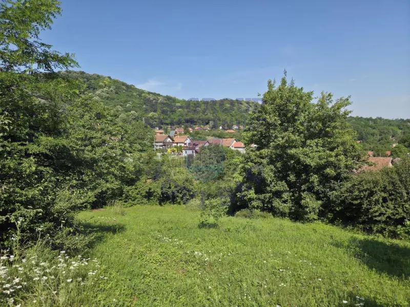 Stari Ledinci, Ledinci