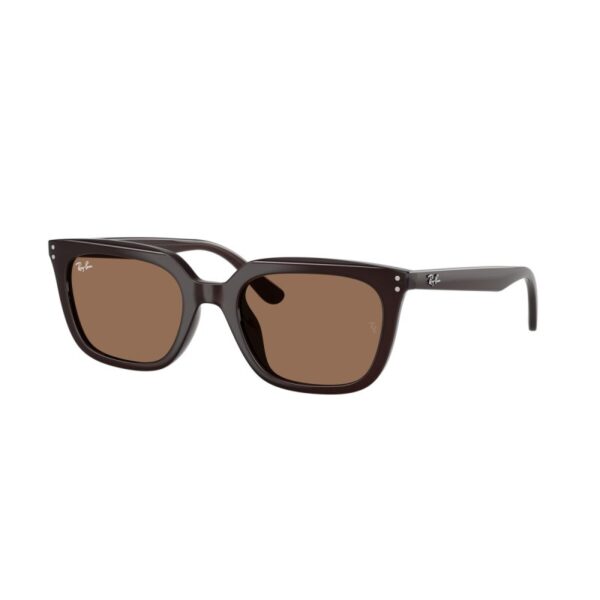 RAY BAN Sunčane naočare 0RB4439D 623173 54