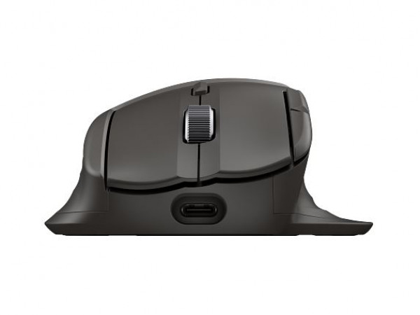 HP DOD Ultra-Fast-Scroll Wireless Mouse 785M, B8YX4AA