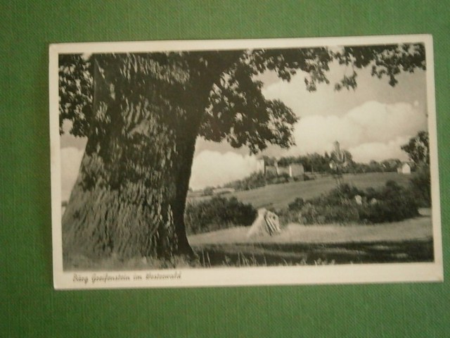 ZAMAK GRAJFENŠTAJN - VESTERVALD PUTOVALA 1956.