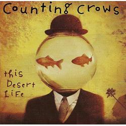 Counting Crows - This Desert Life (cd)