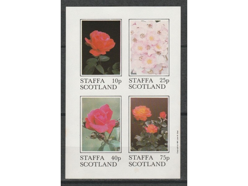 Scotland, Staffa - Roses, Ruže - 1981
