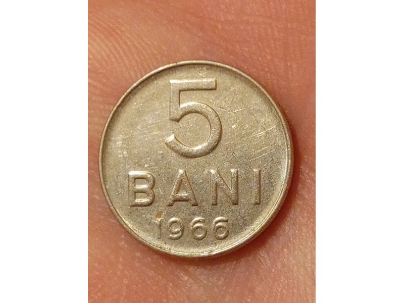 5 bani 1966g.