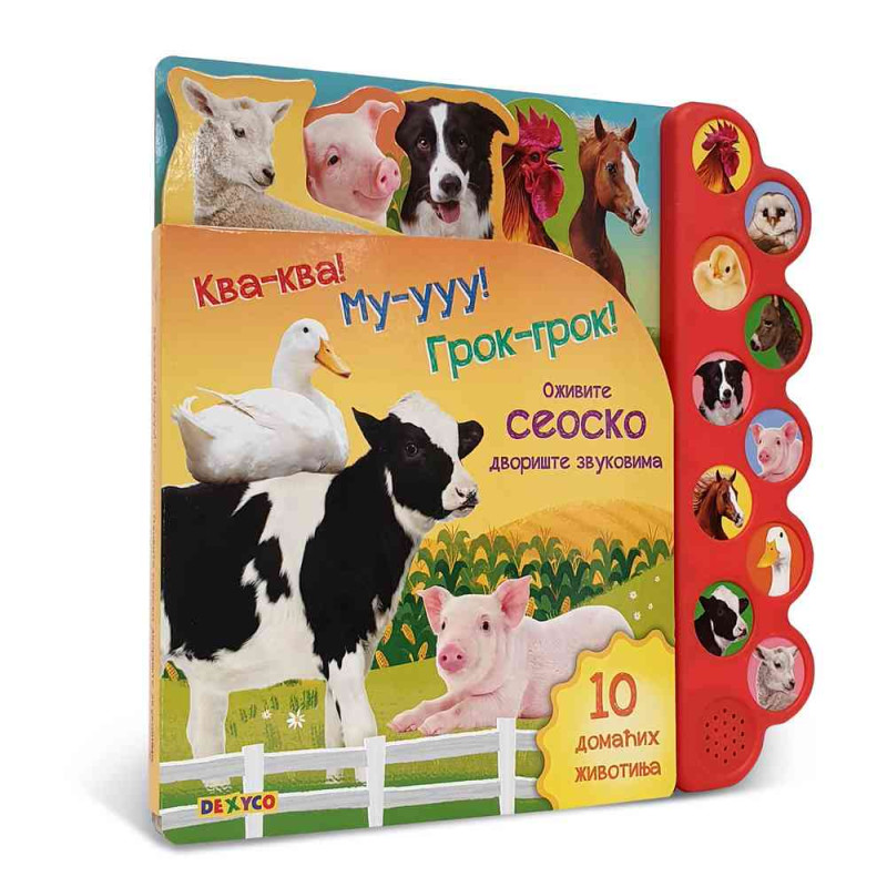 DEXY CO OŽIVITE SEOSKO DVORIŠTE