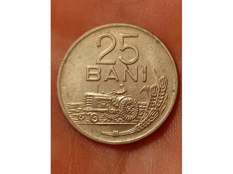 25 Bani 1960g.