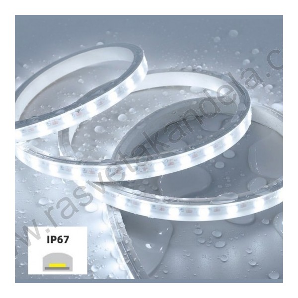WALL WASHER SMD led traka 6500K 10m 24V 12W/m 36d IP67 MLT-3535N36-WH