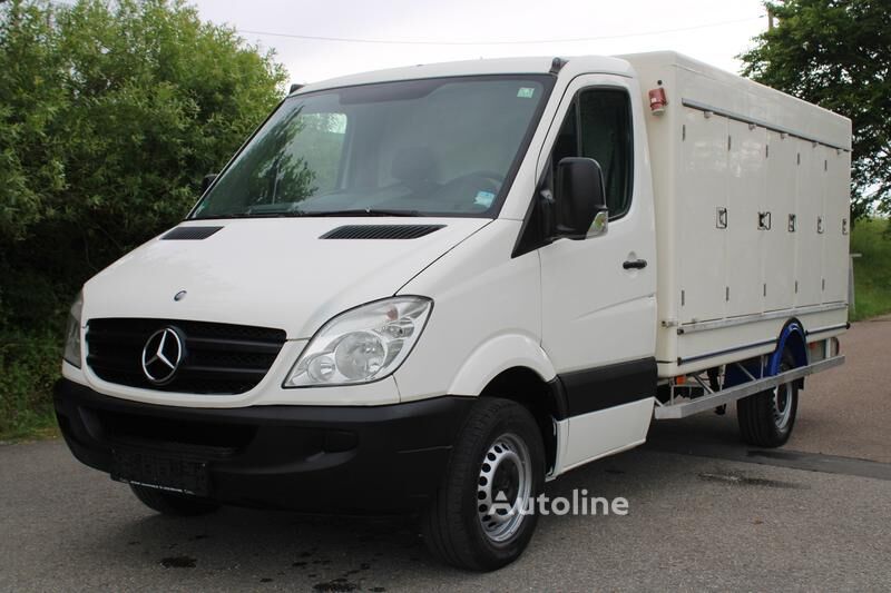 Mercedes-Benz Sprinter310 -33 °C 5+5 Türen Euro 5 kamion hladnjača < 3.5t