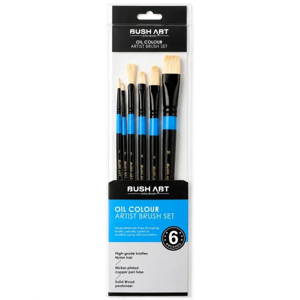 SET CETKICA ZA SLIKANJE 1-6