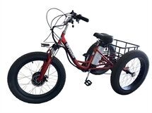 Novi Carro TRANSPORTE INDUSTRIAL ELETRICO 3 RODAS ETRI RED bicikl