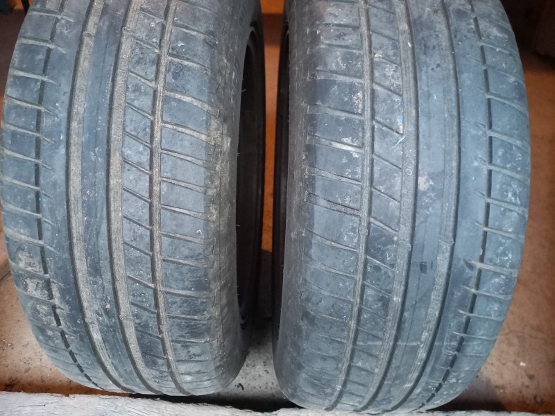 Dve Riken 205 55 16 letnje