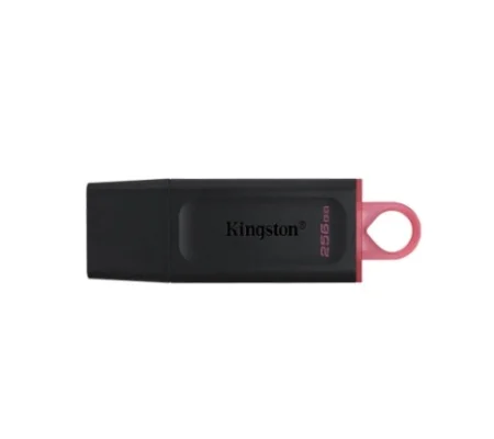 Kingston DTX 256GB