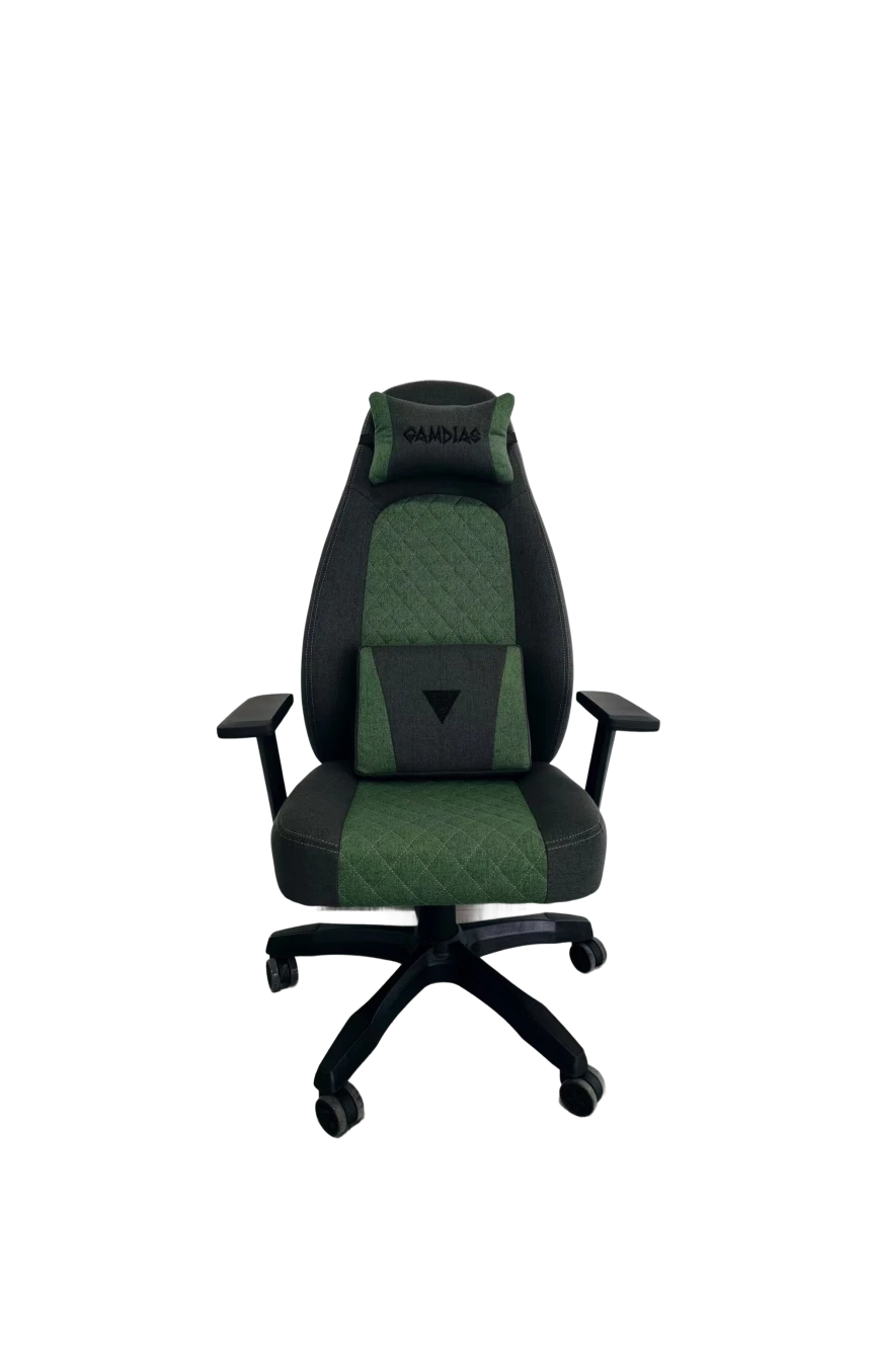 Gaming stolica Gamdias Zelus E4 Weave sivo/zelena