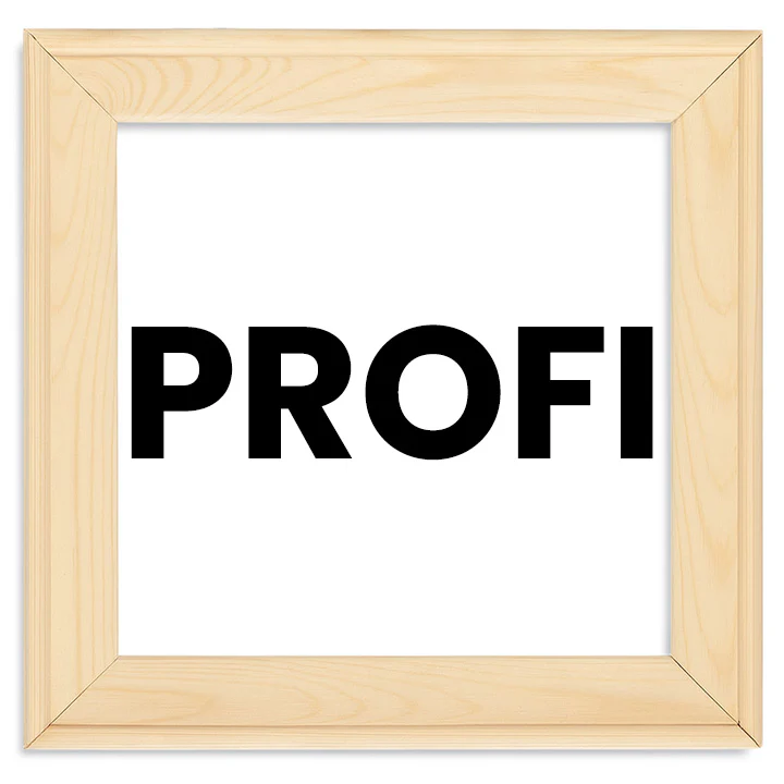 PROFI ram za slikanje na platnu
