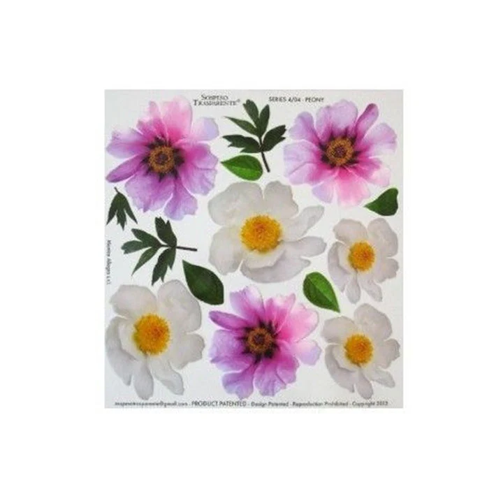 Providna folija za sospeso tehniku 23x24 cm Peony