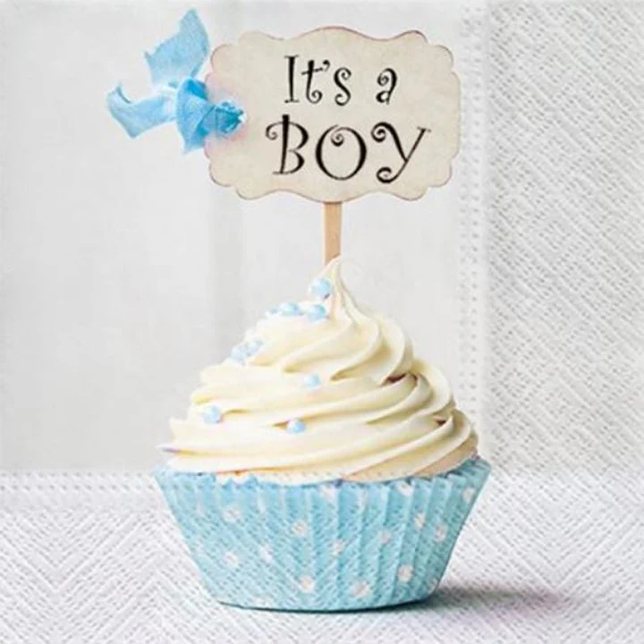 Salvete za dekupaž It s a Boy - 1 kom