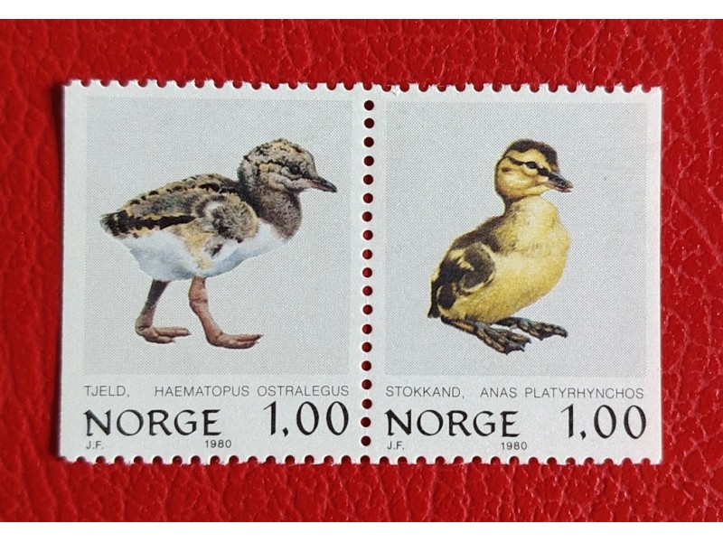 Norveška - čiste