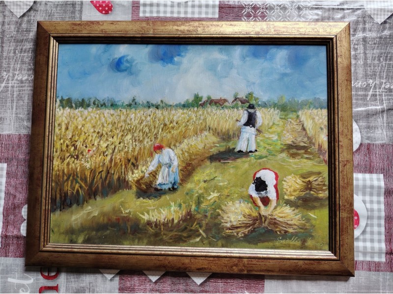 Žetva - Kata Seleši (Szollosi)