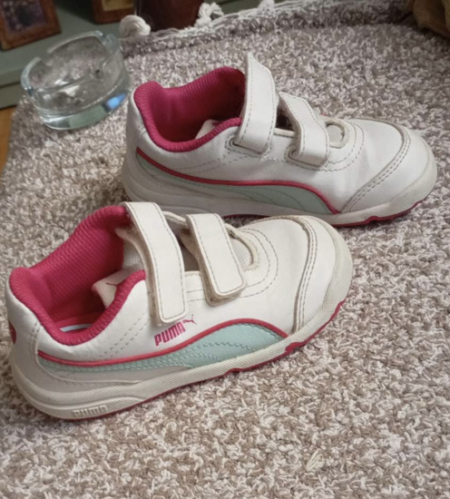 Puma 24