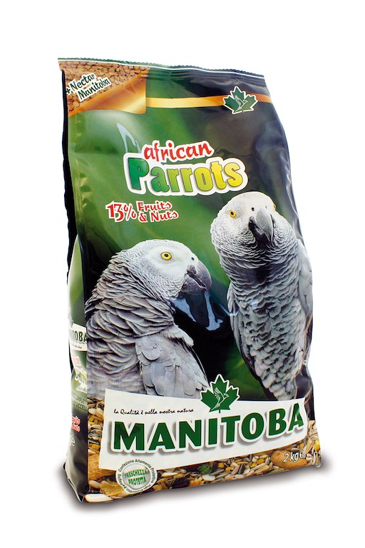 MN 2kg African Parrots