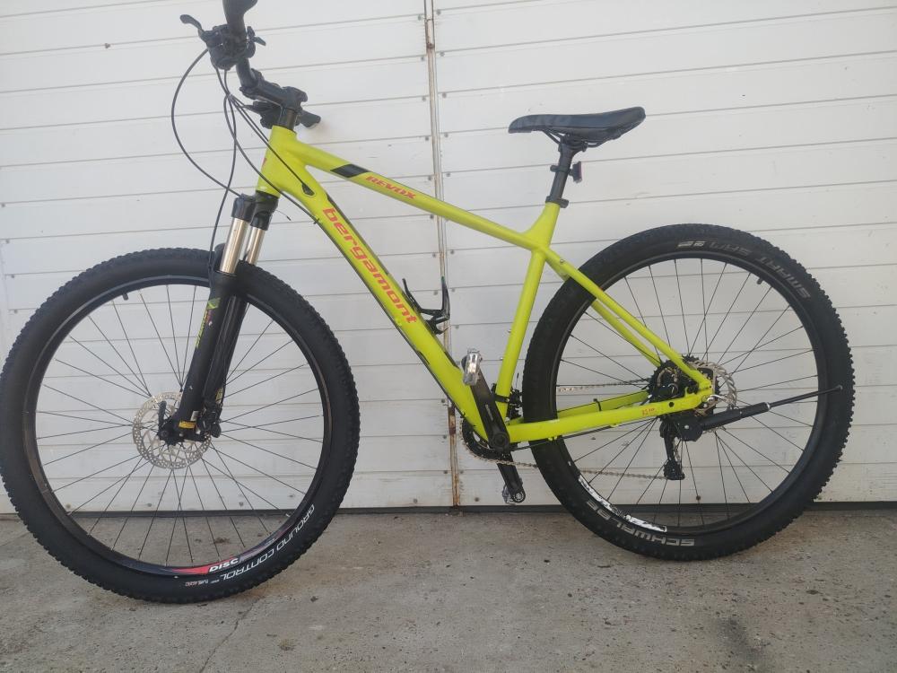 Bergamont revox 29"