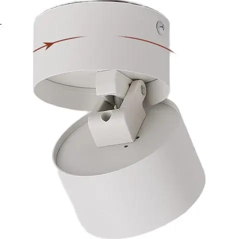 Zuoji Zidna lampa, 10 W